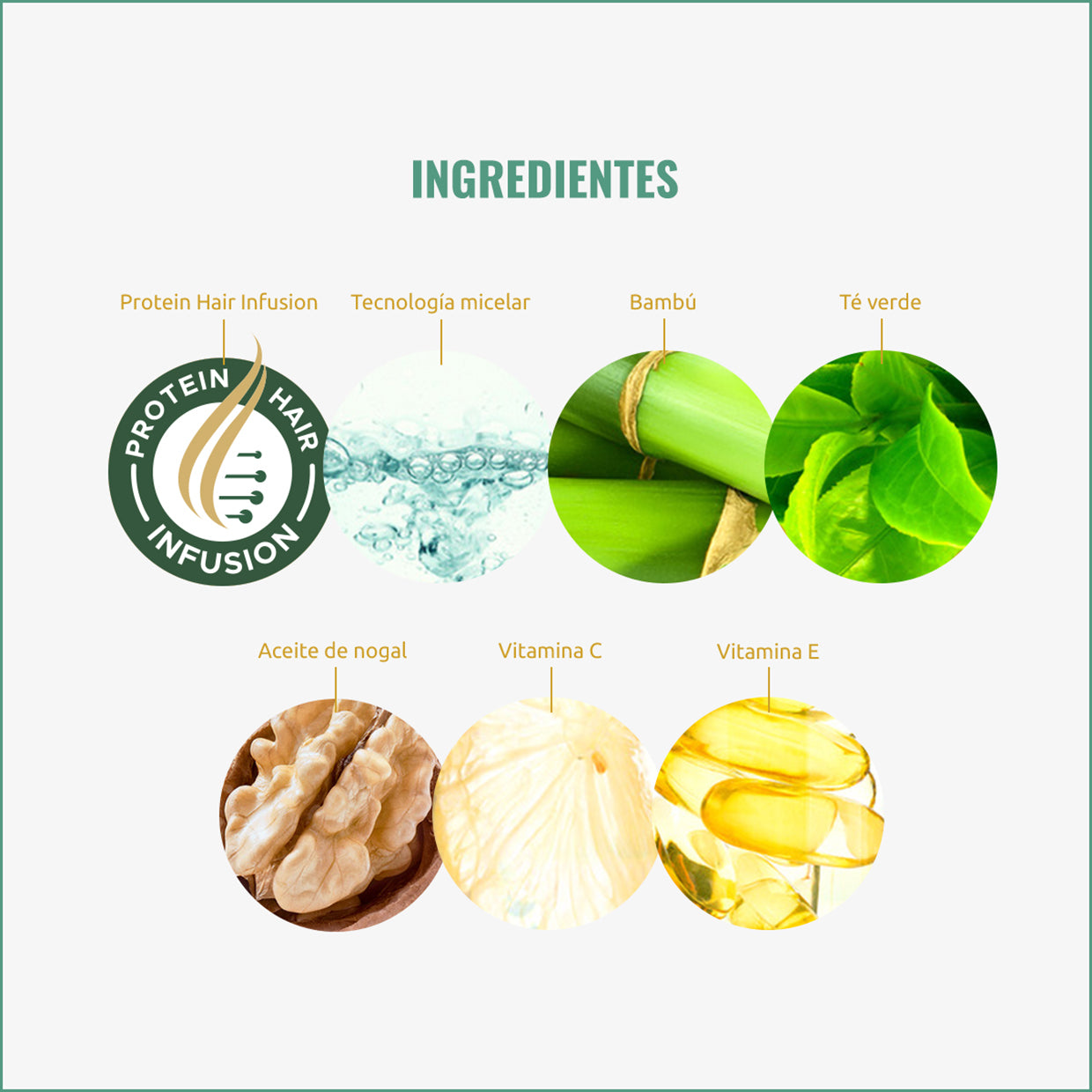 SHAMPOO FORTIFICANTE DETOX CRECIMIENTO – Blends Botanicare